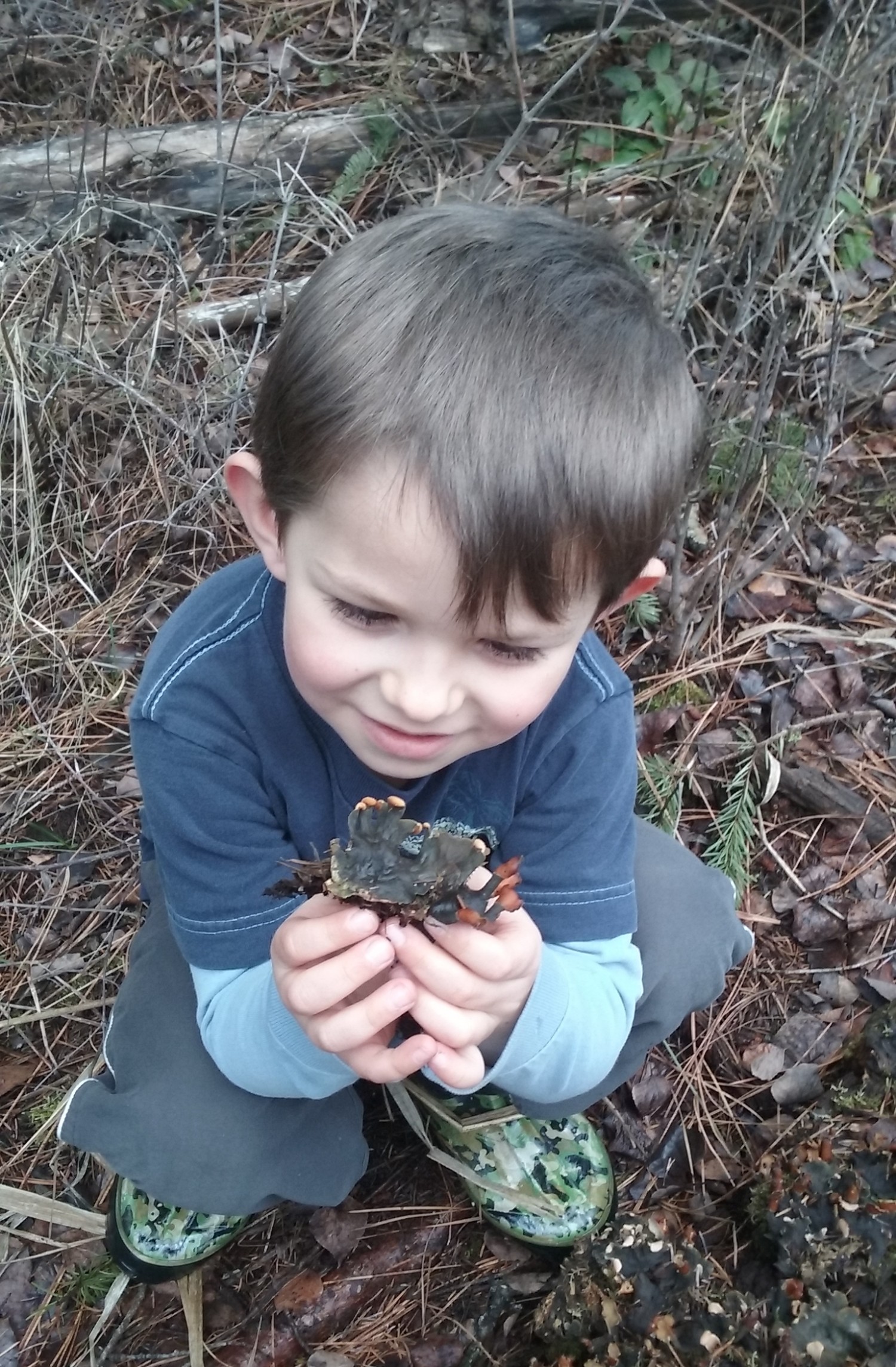 Where Nature Meets Nurture – Educational Outdoor-Based Programs for ...