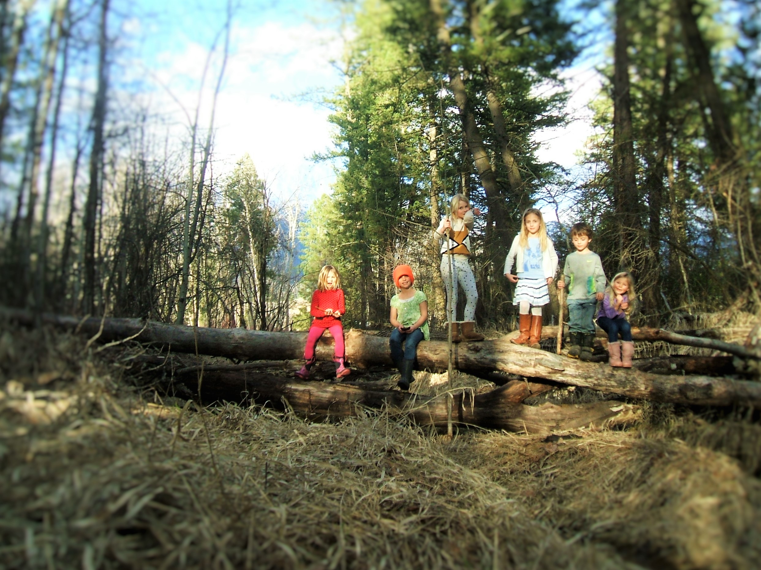 Where Nature Meets Nurture – Educational Outdoor-Based Programs for ...